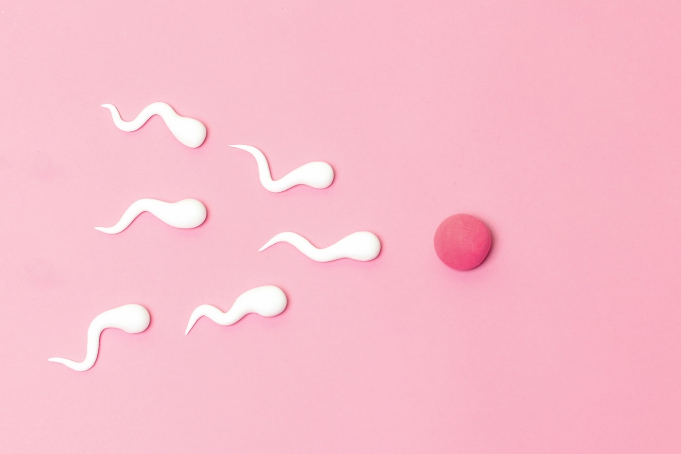 Mejorar La Calidad Del Esperma Nutrición Fértil Para Hombres
